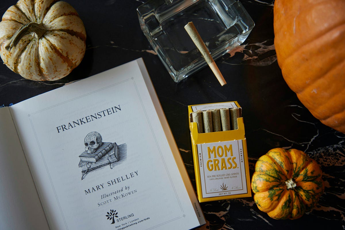 Revisiting the Classics. Your Personal Guide to Mary Shelley’s… | by ...