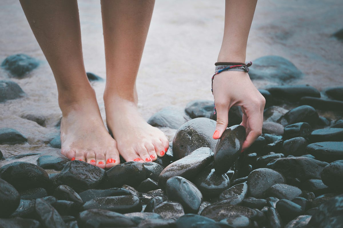 A World Of Legs. Legs. Limbs. Walking on different… | by Rohan Poosala ...
