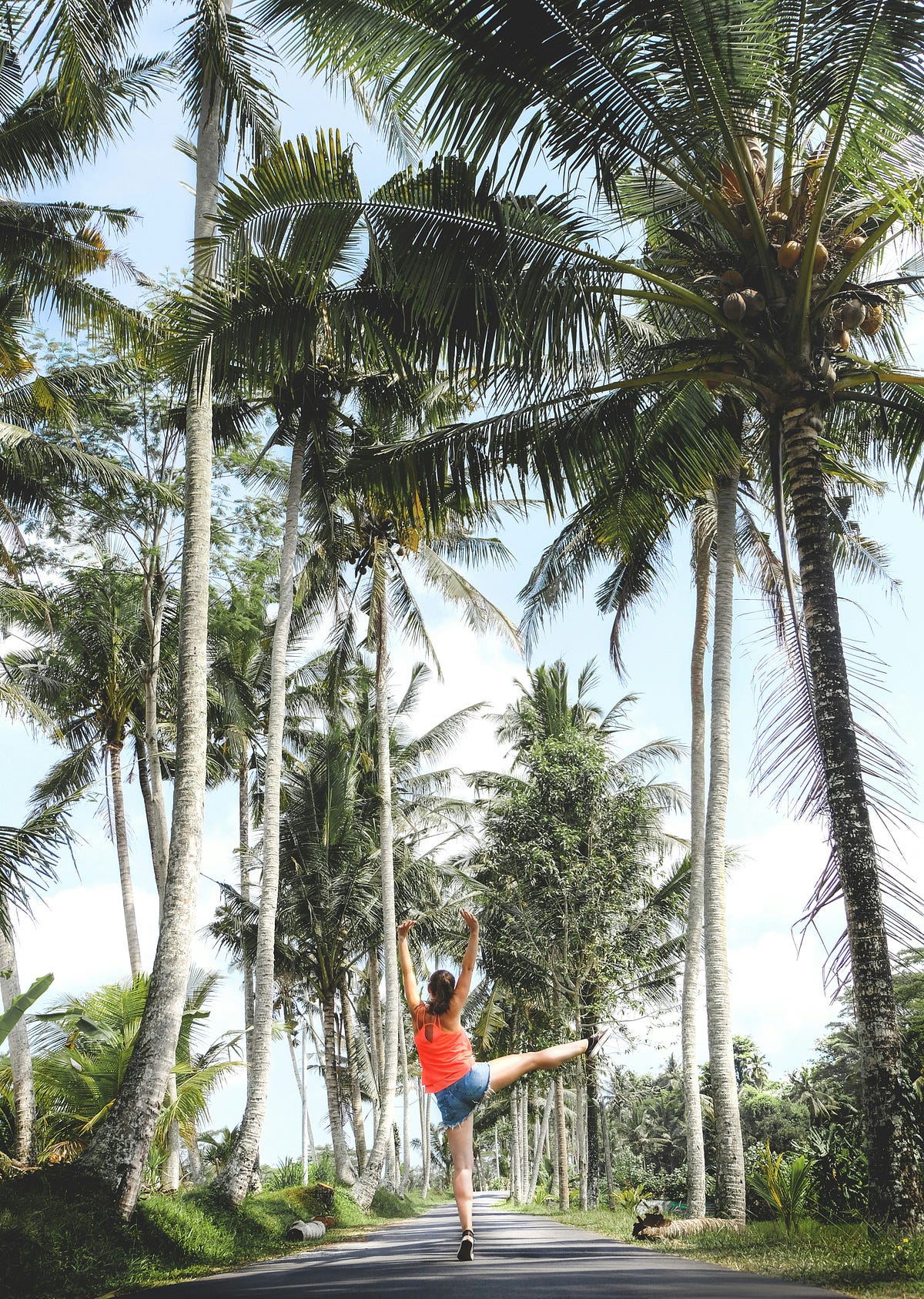 You Didn’t Fall Out of a Coconut Tree: How Constructivism Will Help You to Make Sense of ...
