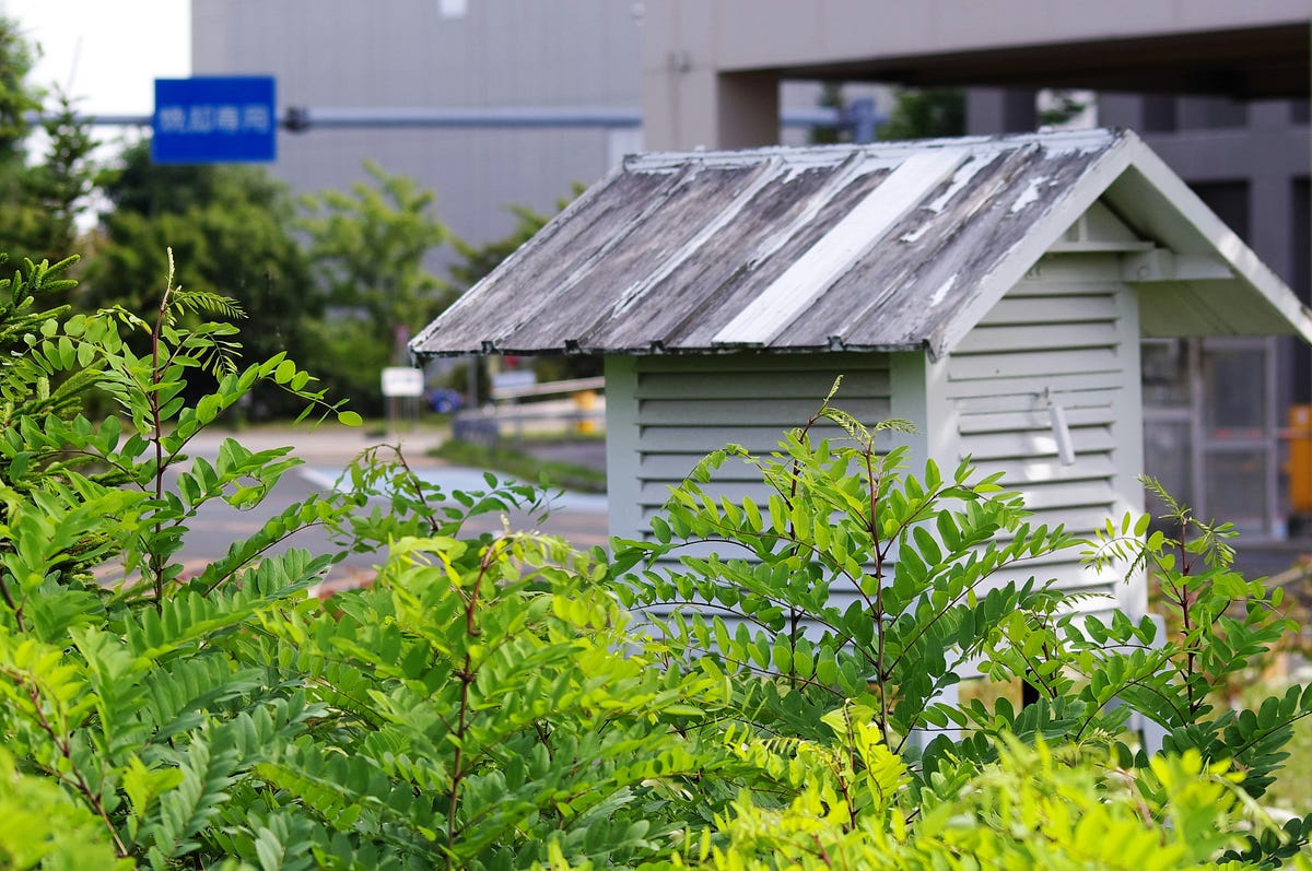 The Devastating Cost of a “Nothing-Seeking” Marriage for Middle-Aged ...