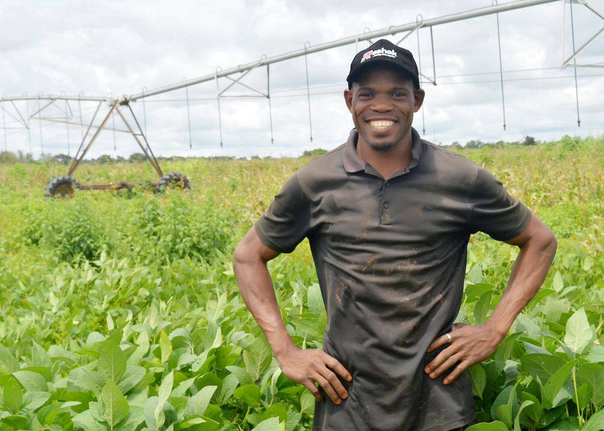 How Rashak Farms has empowered over 5000 farmers and is advancing food security in Nigeria | by ...