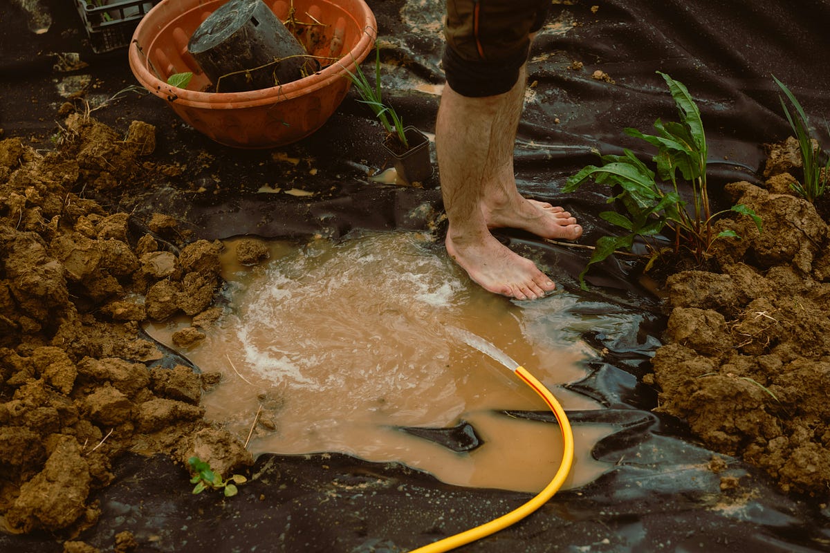 AI Slop or Not ~ I Have Never Been Accused of Dishing Out Slop | by ...