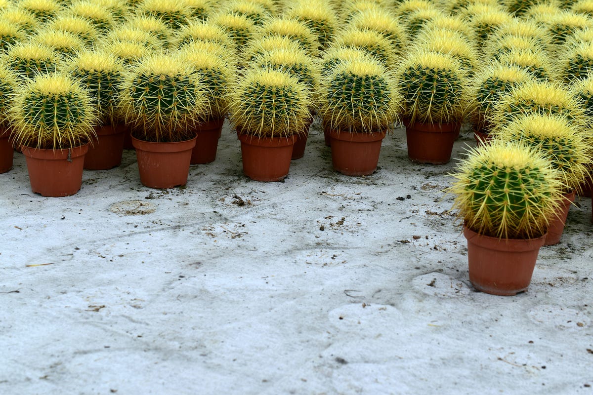 Css Patterns Quantity Queries Javascript In Plain English 
