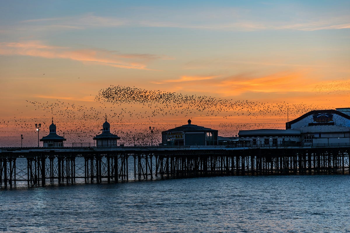 Seeing the future: details or big picture | by Martijn Vos | CREATIVETECH Friends