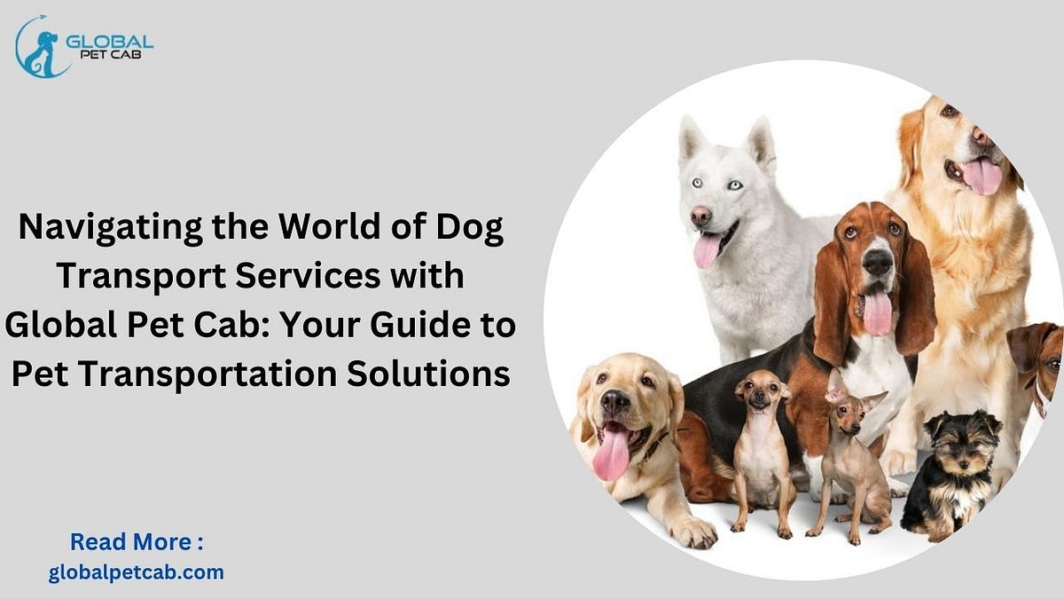 Top Benefits of Professional Dog Transport Services | by Global Pet ...