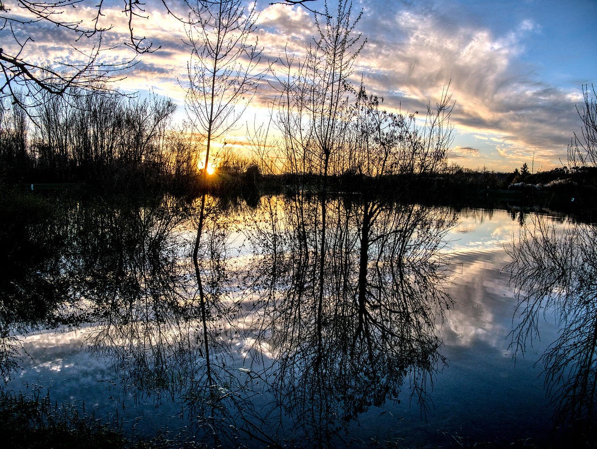 How to Personalize Your GitHub Profile 🌟 | by Eric Narro | Level Up Coding