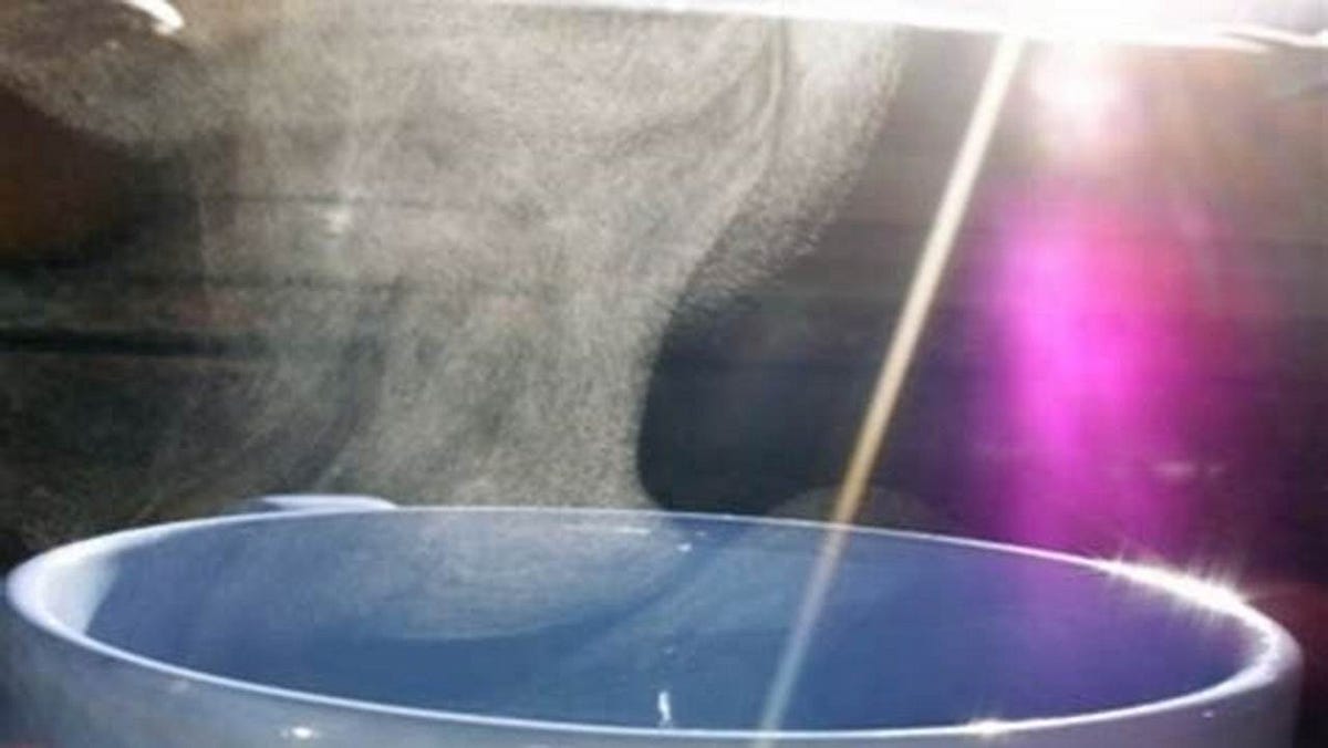 Apa Itu Curing | by Elfridawayuni | May, 2024 | Medium