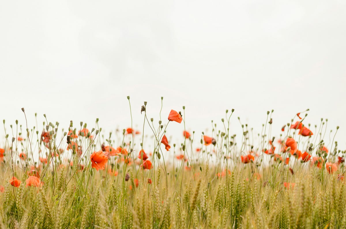How To Reduce App Rendering In React A Deep Dive Into Re Renders By Mohammed Shahawy Medium