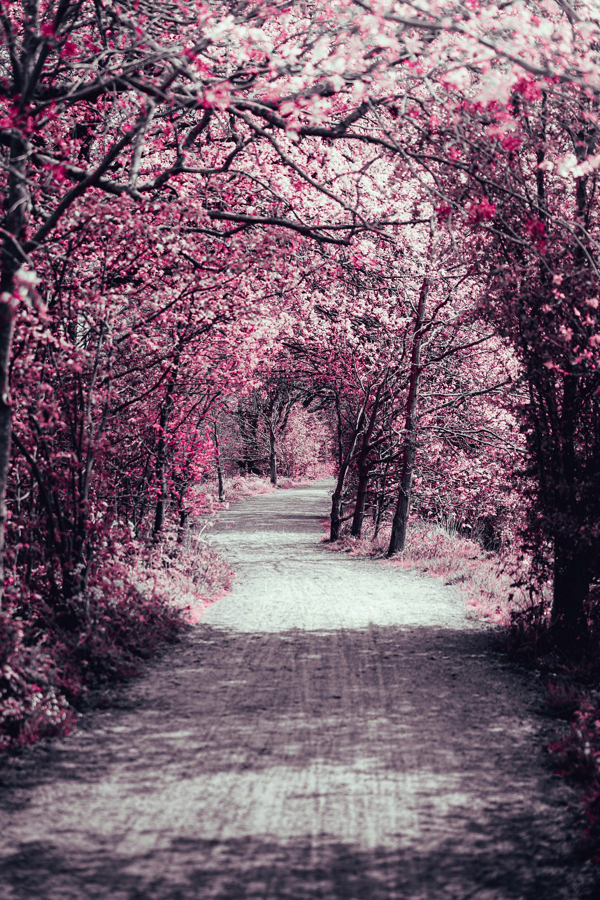 THE WOVEN SERENITY- Chapter 1. The story could have started in… | by Maitreyee Kumbhojkar | Medium