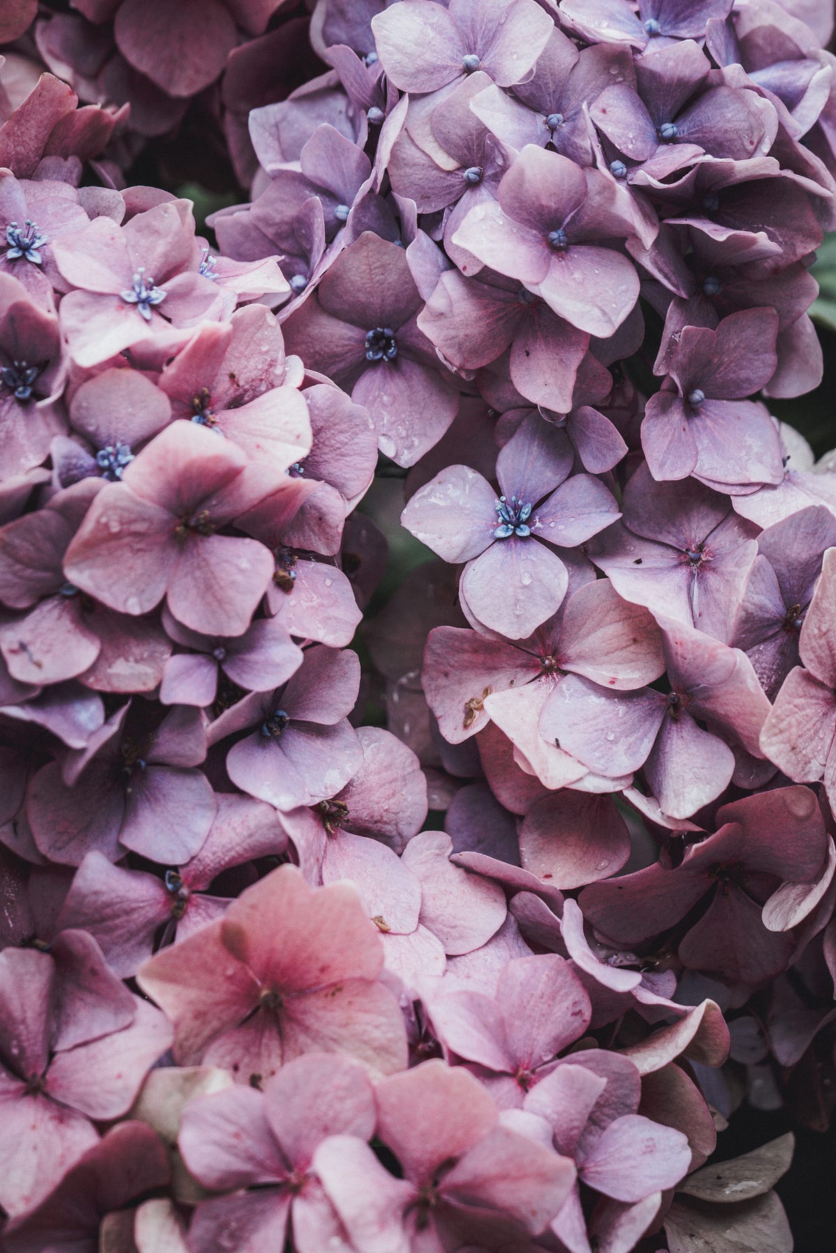 Growing Pains — A Poem. There is so much discomfort in the… | by Seyda ...