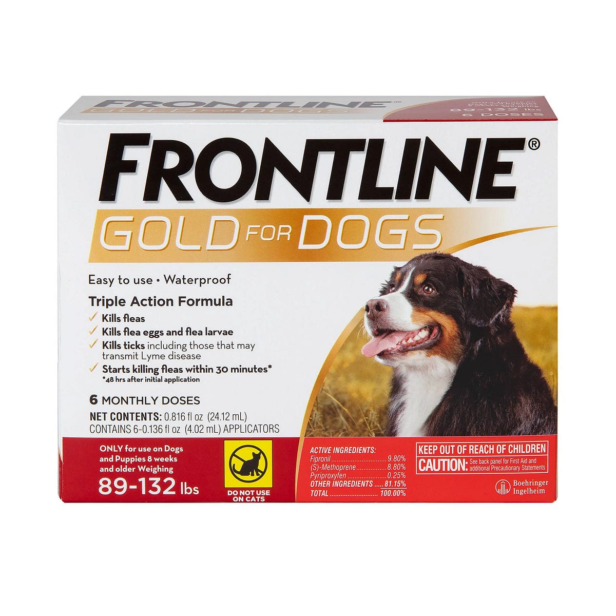 Frontline Fleas | by Erica Hudson | Aug, 2024 | Medium