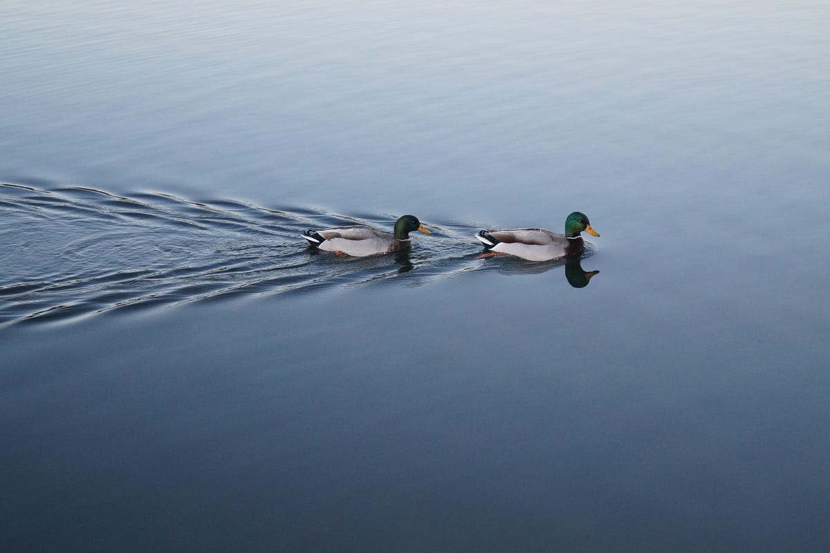 How To Use Postgres As A Message Queue By Ecky Putrady Better Programming