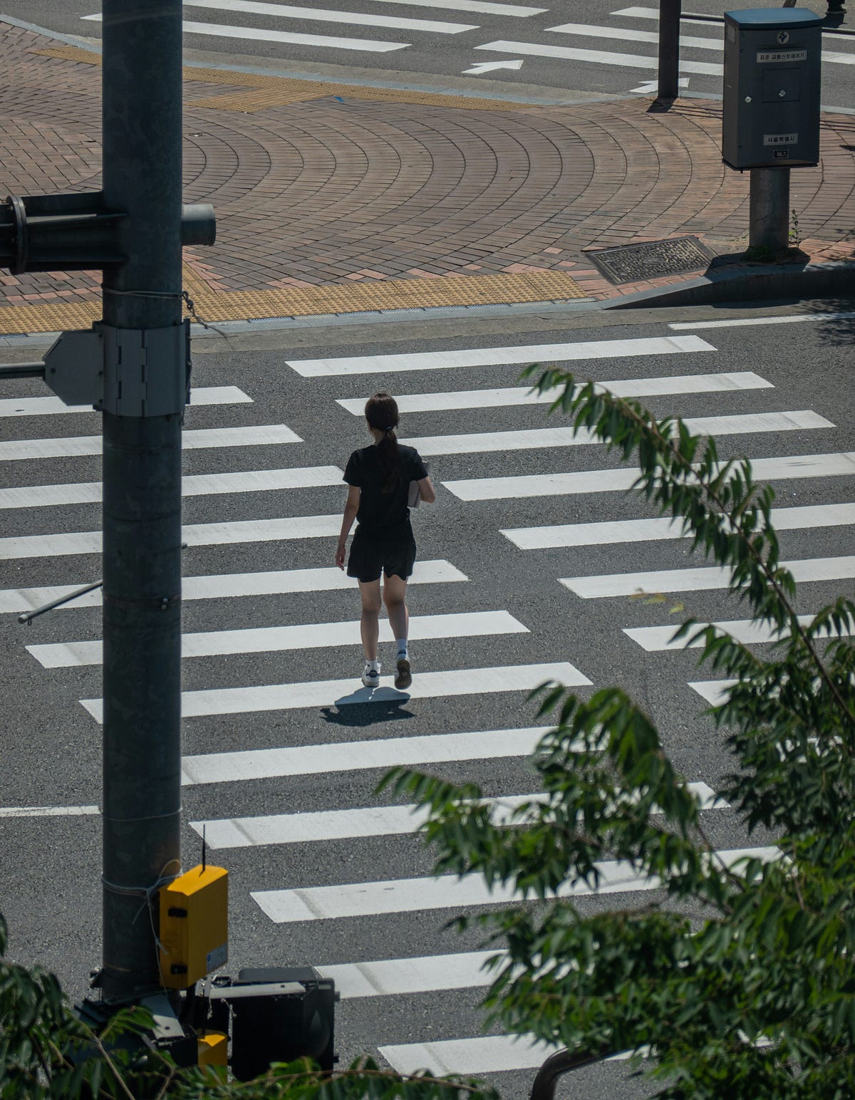 Life Solutions in the Opposite Direction | by Suzzan akande | Heartline Publications | Jul, 2025 ...