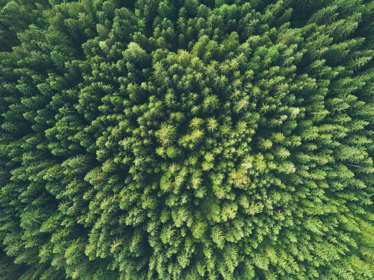 How To Pass Environment Variables In Serverless Nodejs Azure Functions