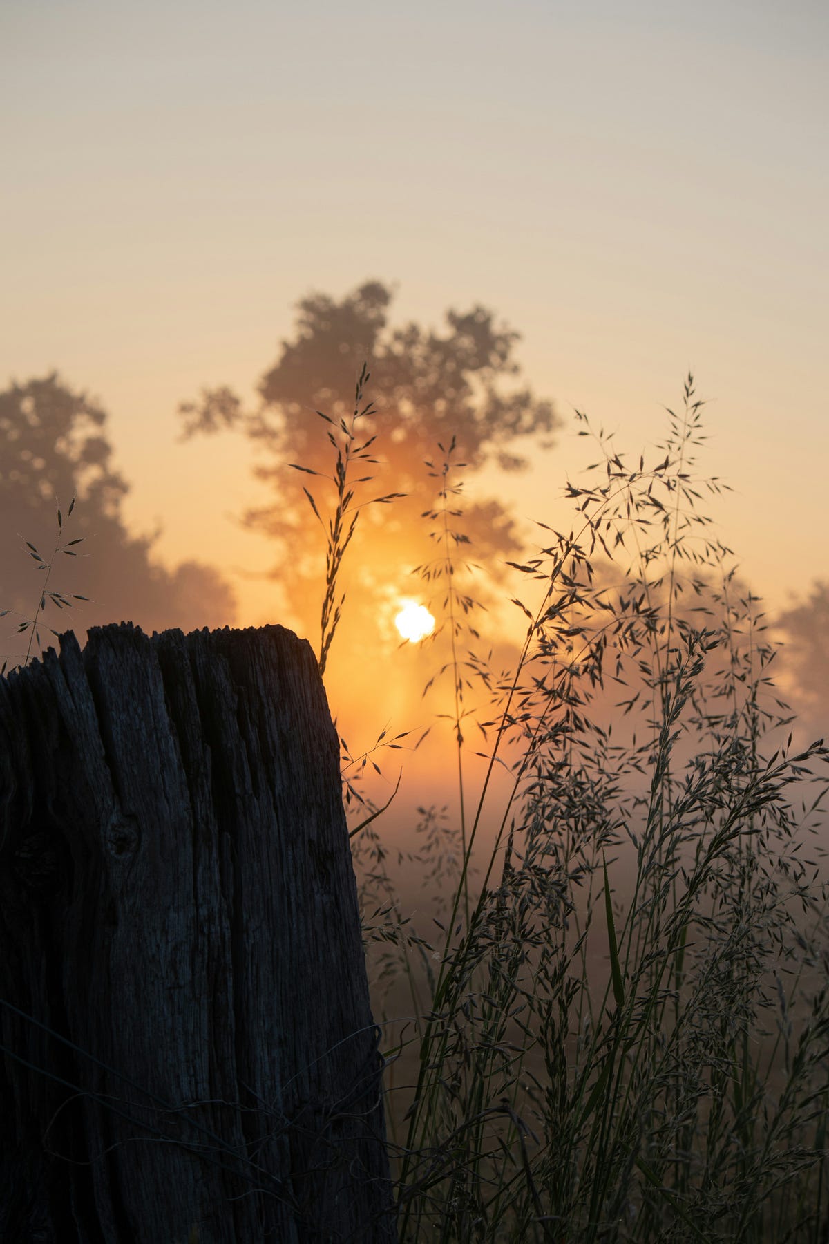 Learn how to reprogram your subconscious for success through the power of self-talk! | by ...
