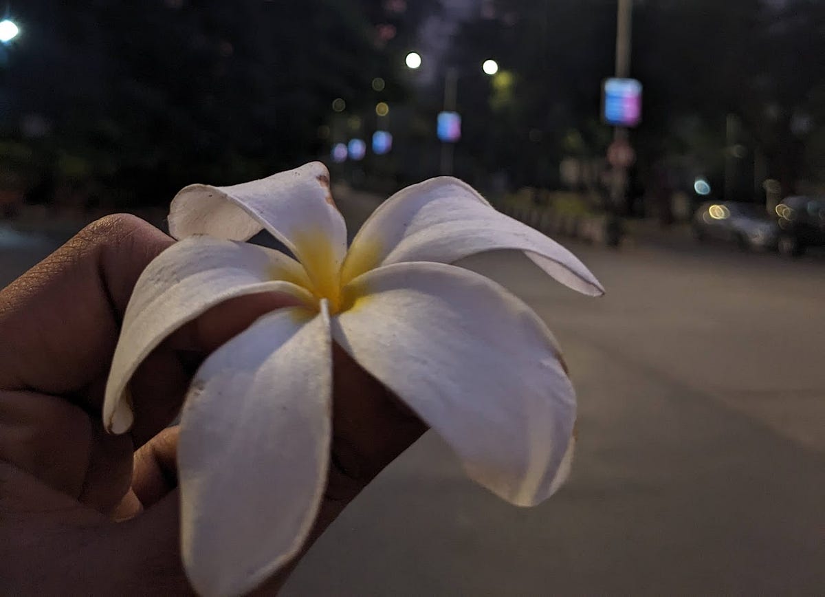 Not a competition. I won’t call myself a very observant… | by Shanan Goyal | Medium
