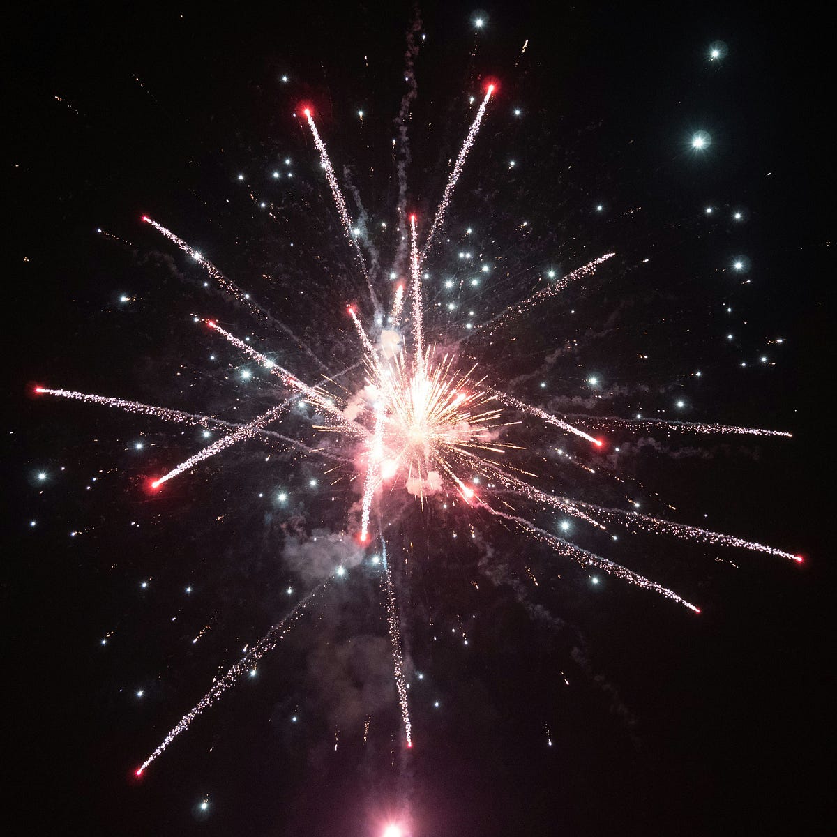 What I’ve Learned Watching Creators Blow Up Online | by Pat Ejeks | bloody sweet writers | Medium