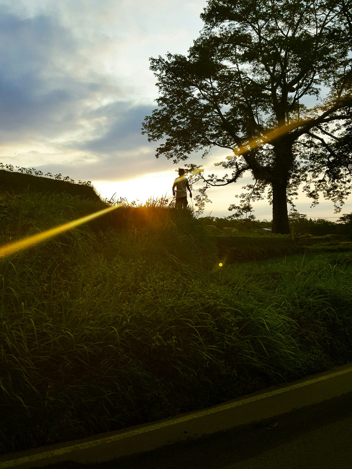 An Ode to Life and Its Quiet Gurus | by Her Sights | Medium