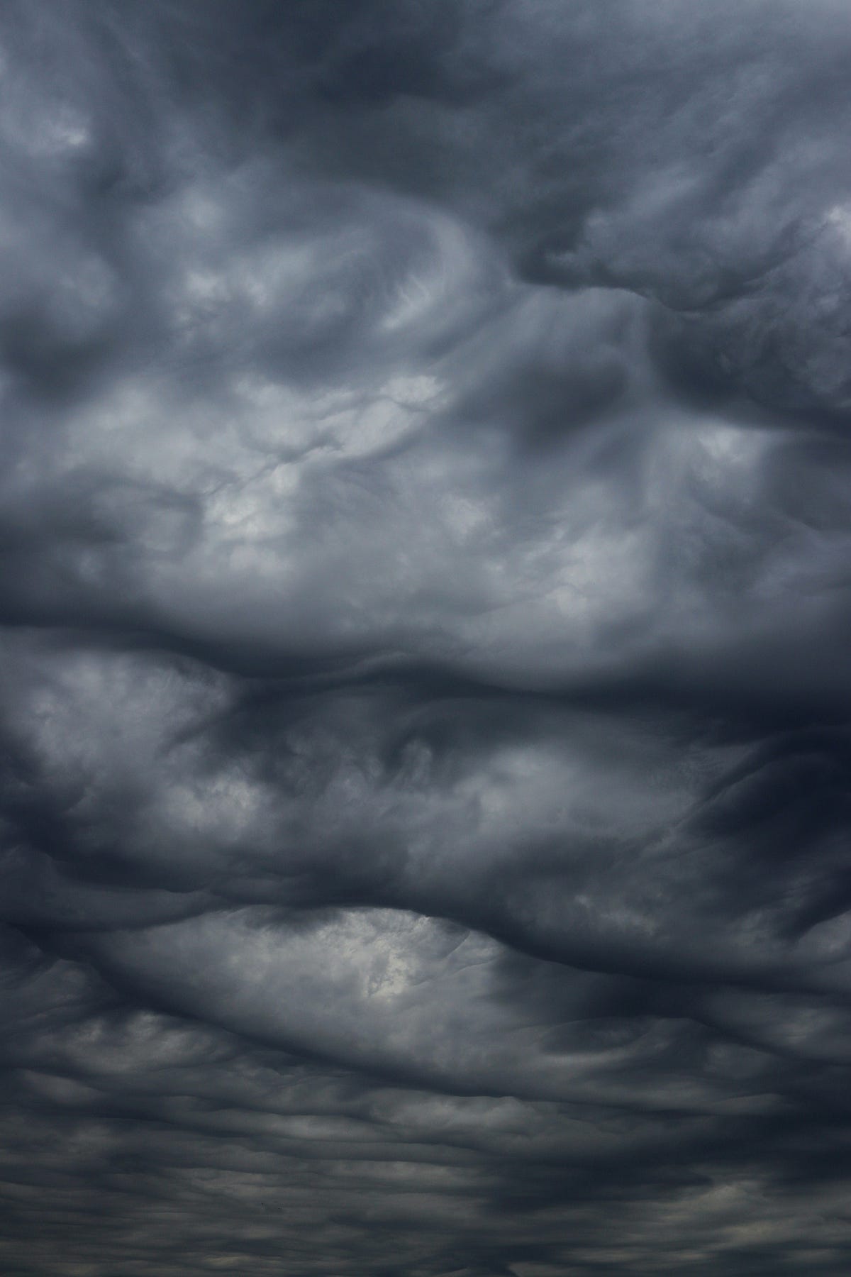 A Whisper. Beneath The Noise~~~ | by Michele Luckenbaugh | Weeds ...