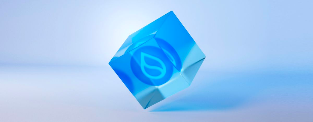 了解不一样的Sui NFT标准 - Sui Network CN - Medium