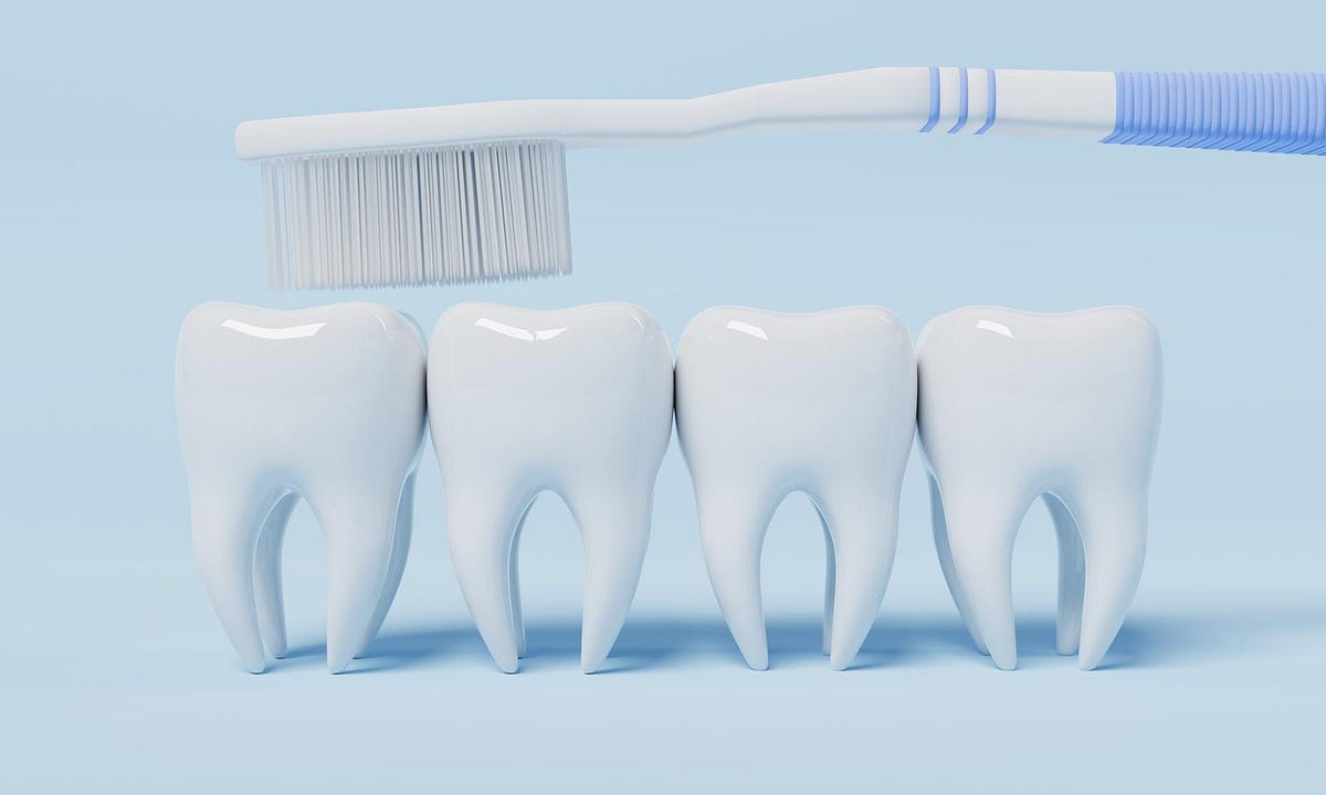 Morphology Of Maxillary Premolars | by Dominic Thorncroft | Medium