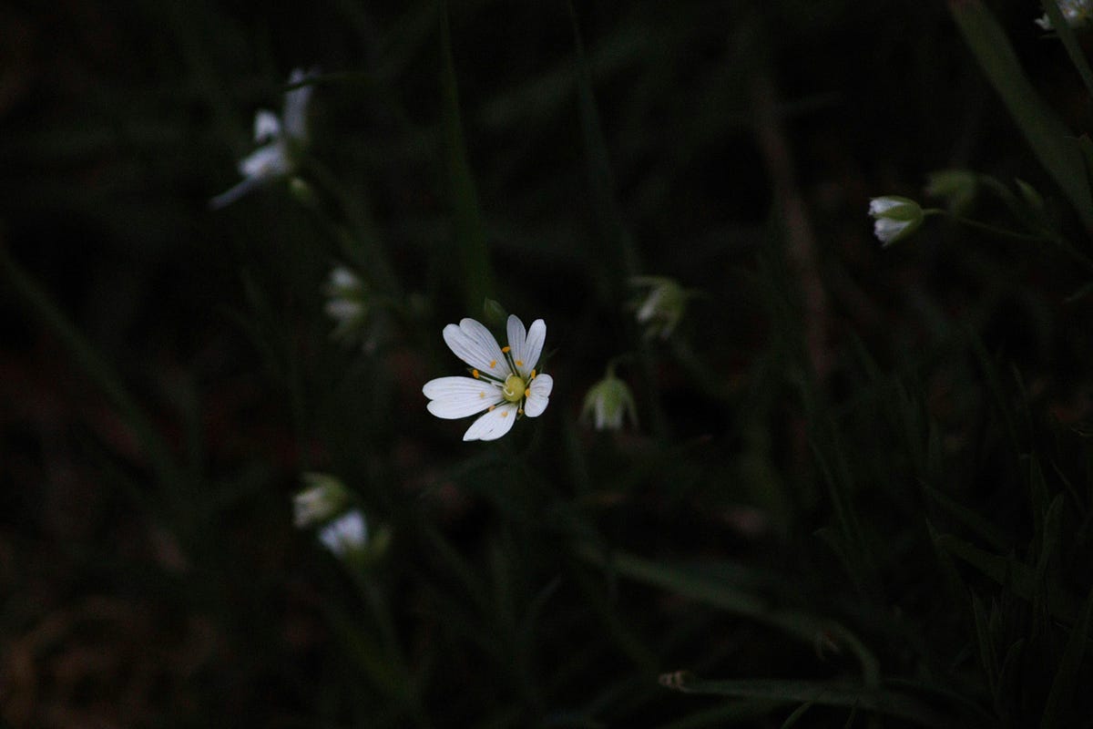Small Sparks, Big Flames. The Impact of Tiny Ideas | by Dee | The ...