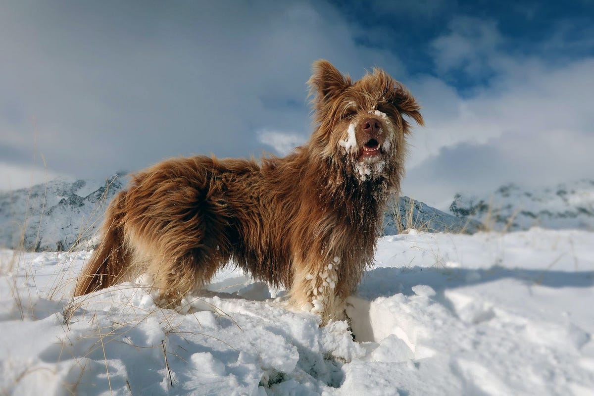 Content generated by AI in SEO: good or bad idea? | by DB To Data | Medium