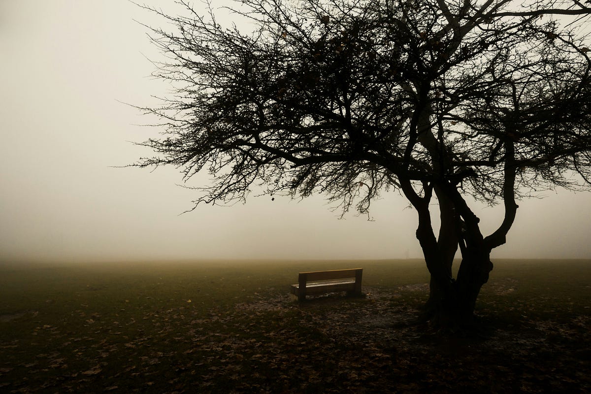 They say it’s not about leaving but expanding your comfort zone | by Namira Abda Taqiya | Medium