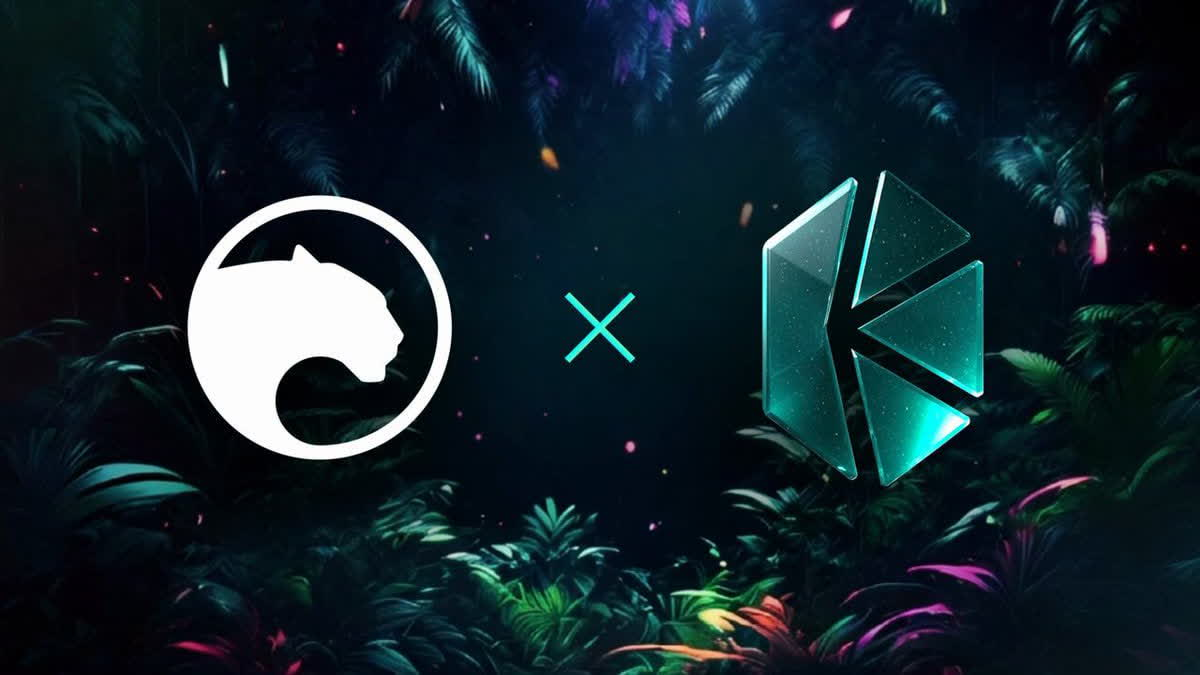 Panther Protocol Airdrop. Claim Your Tokens Today! | by Digital Satoshi ...