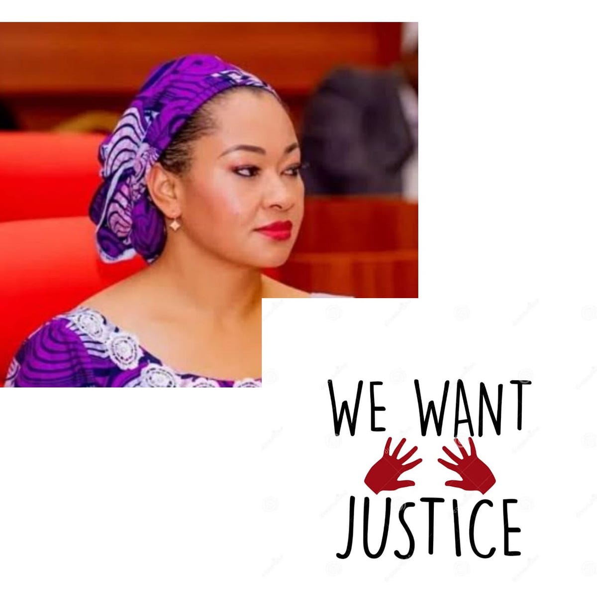 SENATOR NATASHA’S CASE: HOW HER EXPERIENCE IMPACTS WOMEN’S JUSTICE IN ...