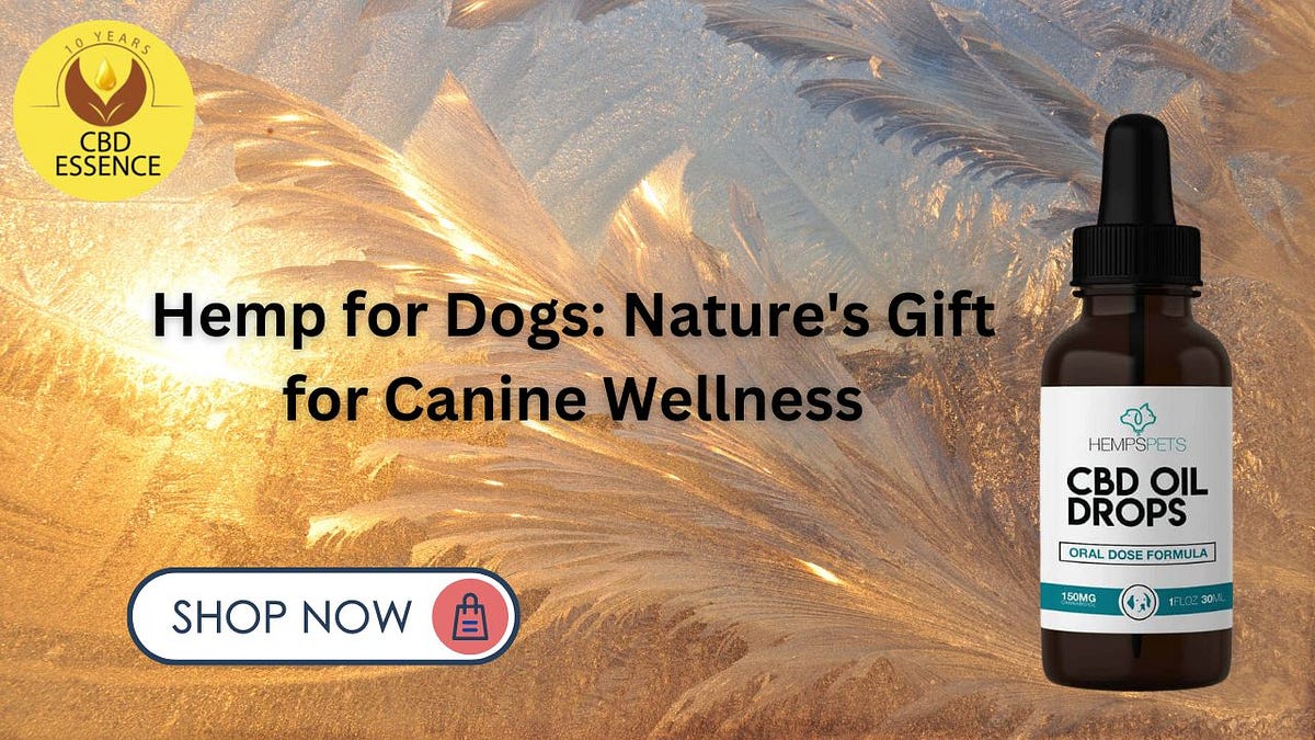 Hemp for Dogs: Nature’s Gift for Canine Wellness | by Sa | Medium