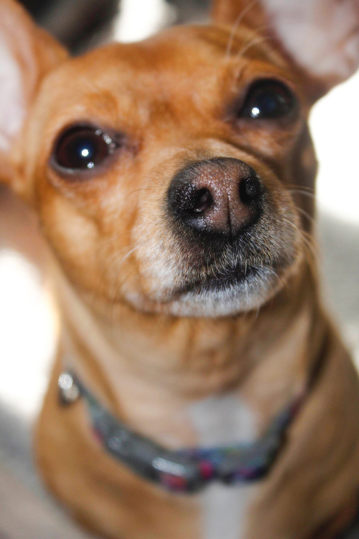 The Soul and the Eyes. . . . an American Haiku and Poetic… | by Beth ...