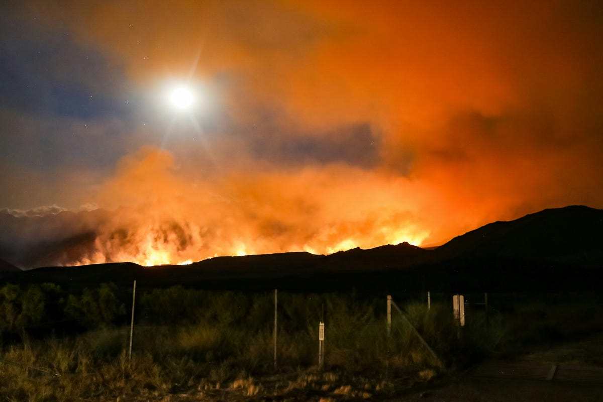 California on Fire. From ashes to action. | Write A Catalyst