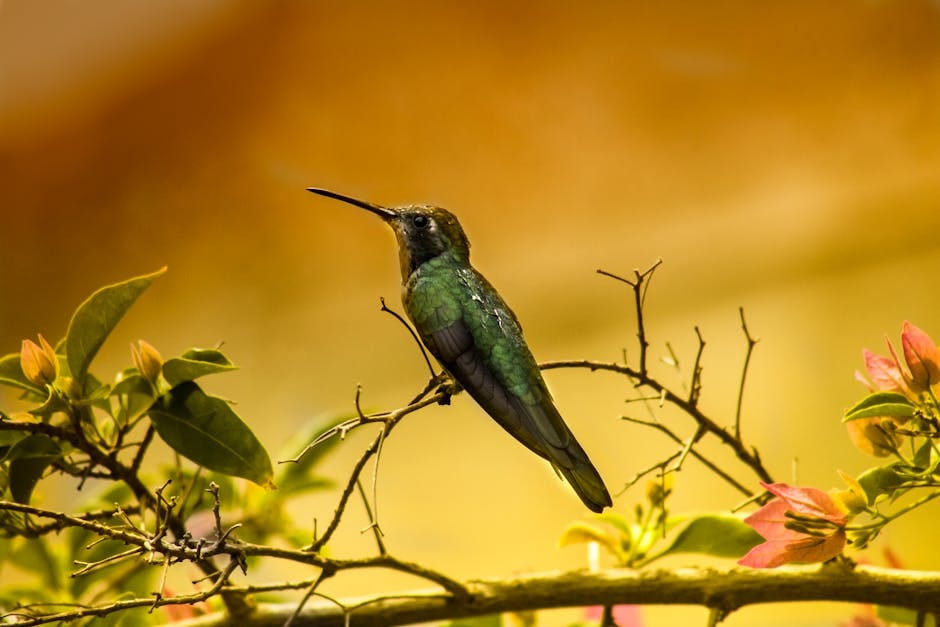 Discovering Cuba’s Hidden Natural Wonders | by Pakudos Blog | Apr, 2025 ...