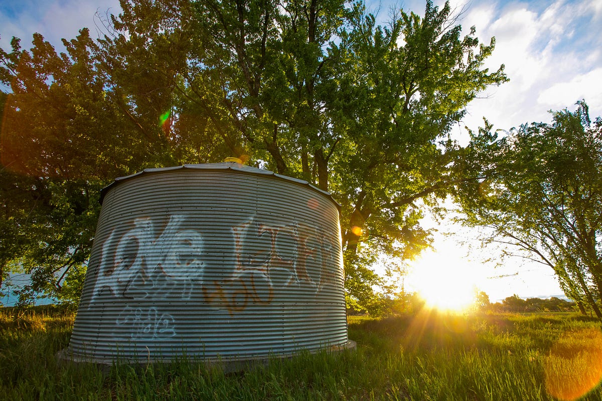 Whatever You End Up Doing, Love It | by Olga Panagiotopoulou | Read or ...