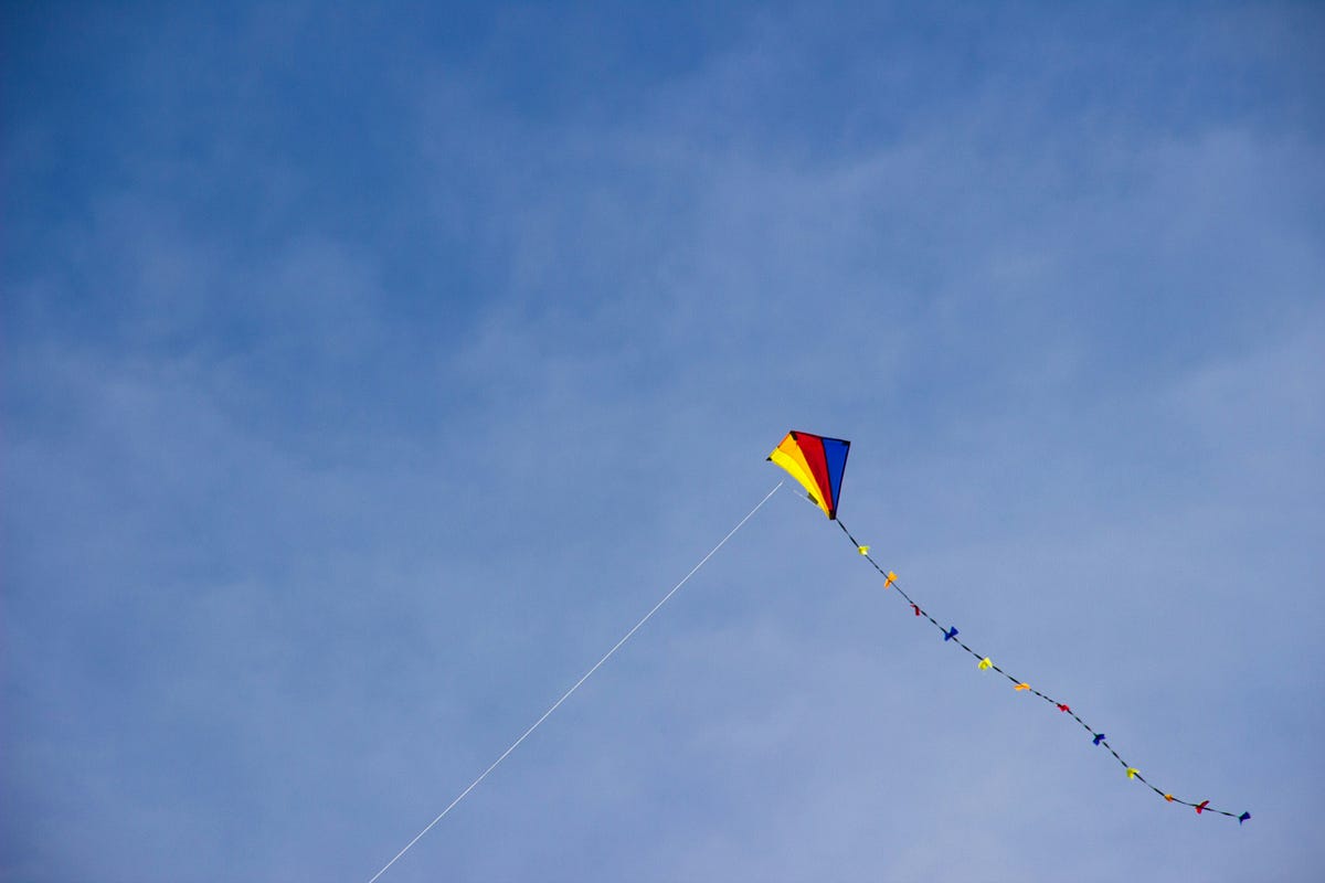 Tangled In Freedom. Glimpses of true freedom are like high… | by her ...