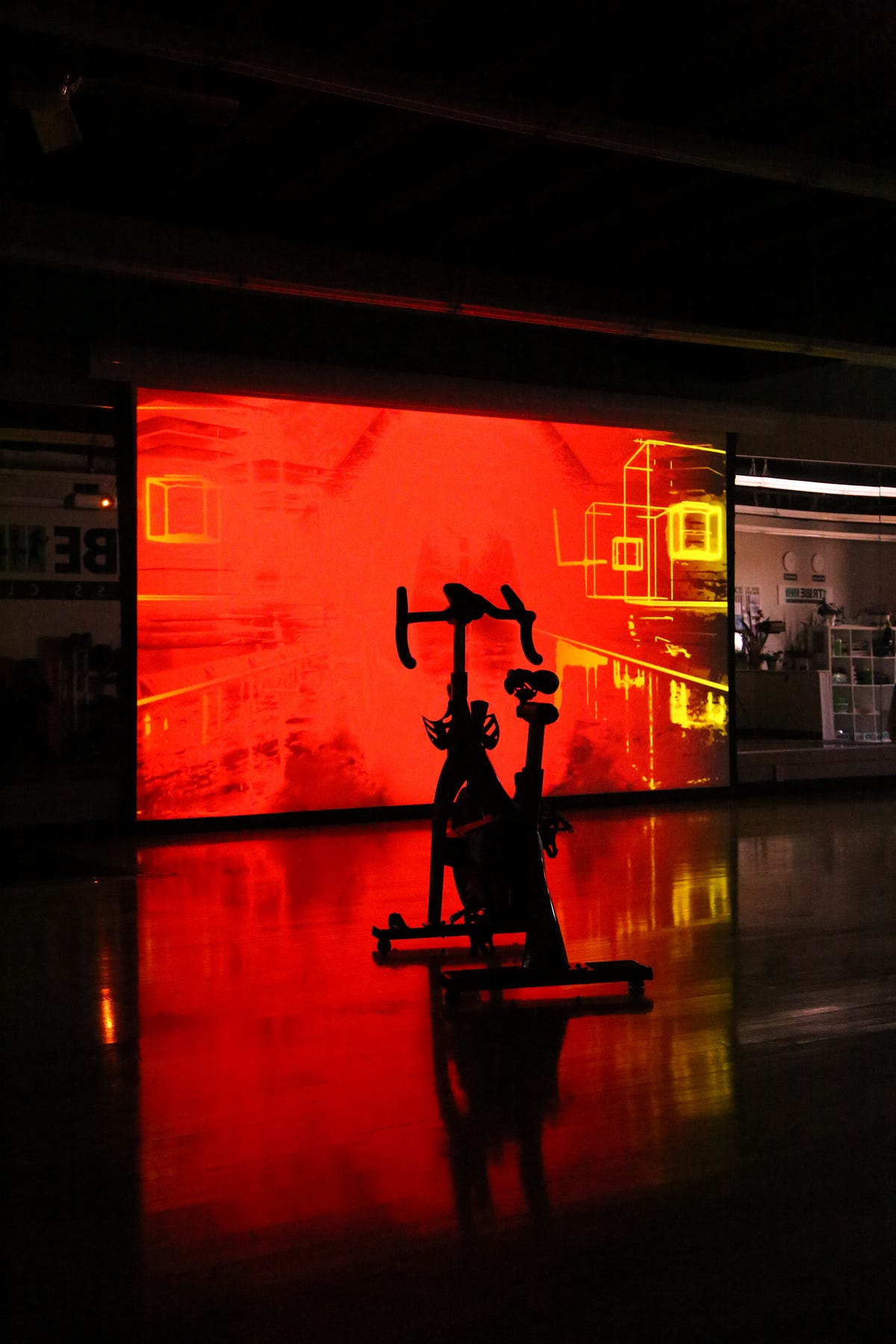 Debunking the Top 5 Myths Around Owning a Peloton Stationary Bike | by Chicken Lady | Medium