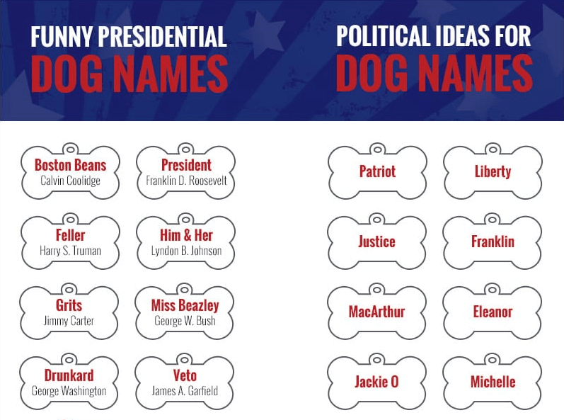 Patriotic Dog Names: Top Picks for Your Brave Pup | by Freeda Mast ...