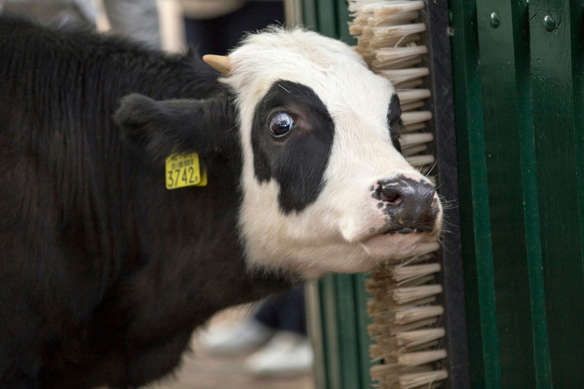 My Year Started with a Big WTF. Can’t wait for the remaining 362 days ...