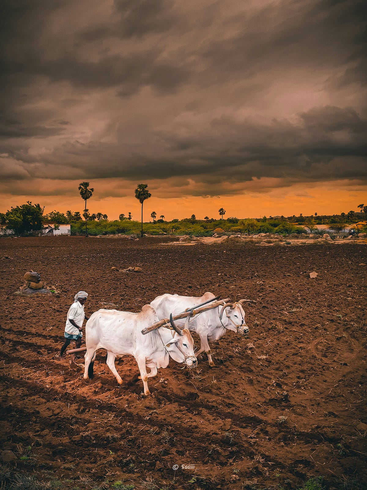 AI Learns from Us, but We Never Learned from the Poor | by Partha Roy | Medium