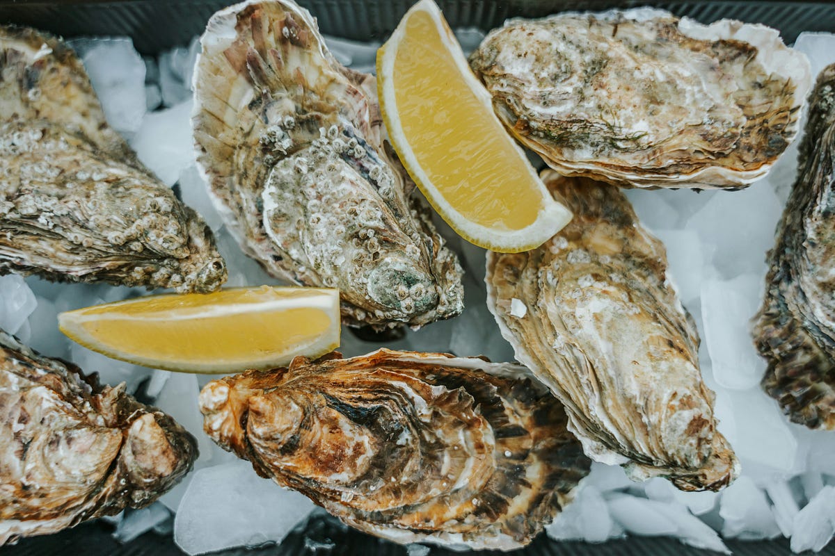 “You’ll Stab Your Eye Out, Kid!”. Oysters can tell you a lot about ...
