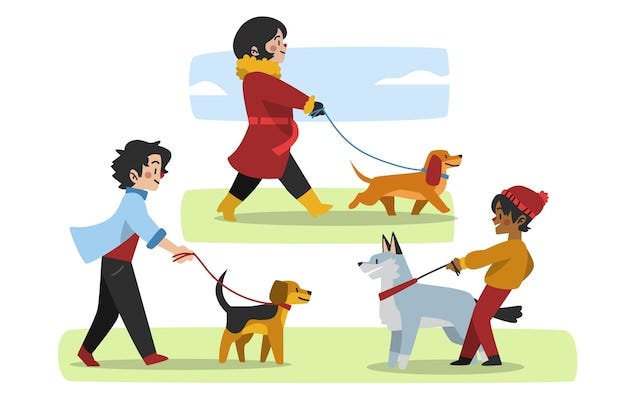 Can Memory Exercises Improve a Dogs Problem-Solving Skills? | by ...
