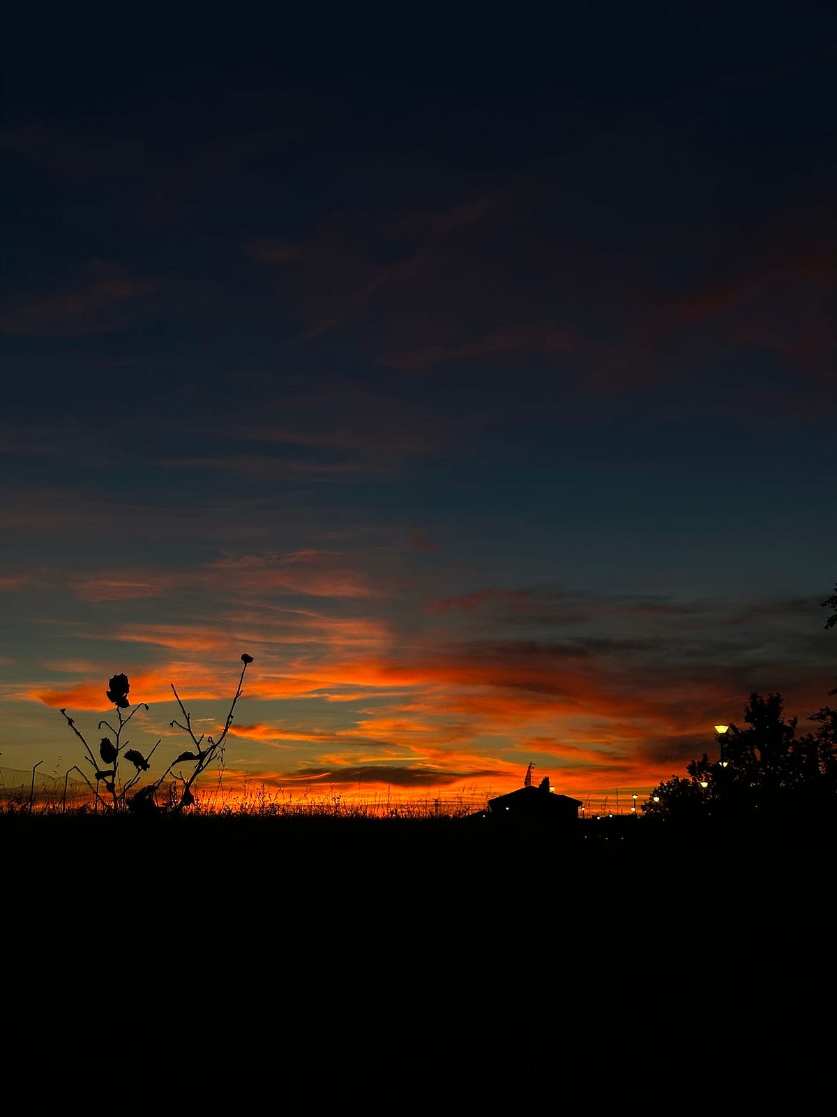 Beholding Beauty. “When we wonder, we loosen the cords… | by Abbie ...