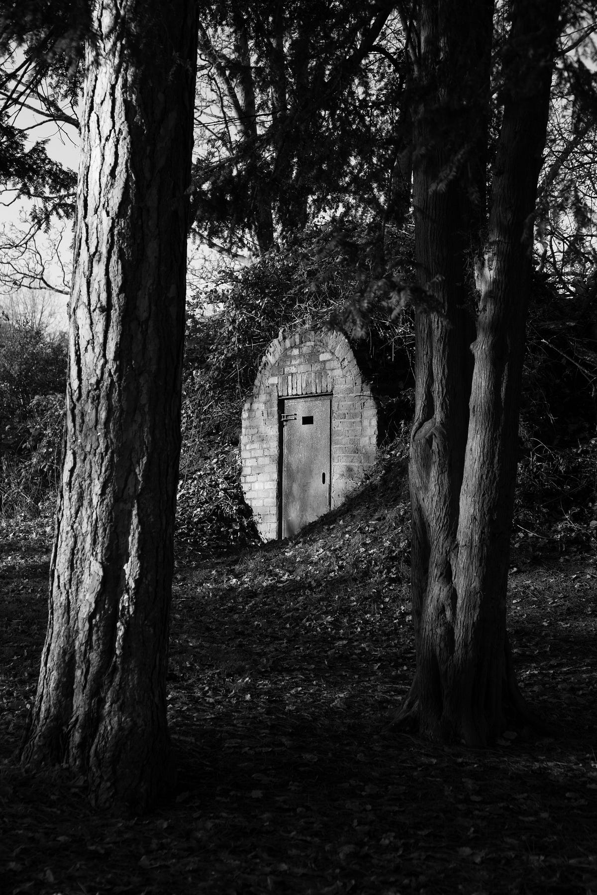 Doors. A haiku for portals | Medium