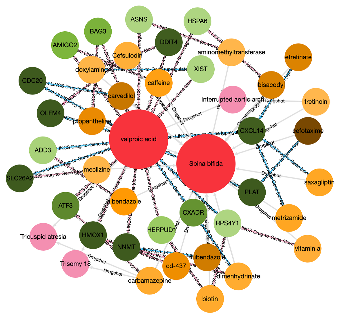 Predicting Drug Safety During Pregnancy Using Graphical Neural Networks ...