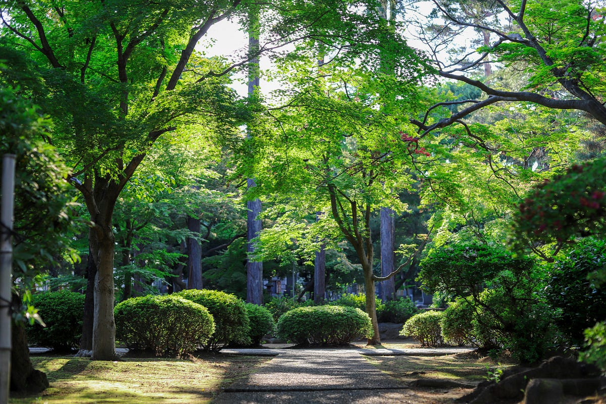 Kyoto’s Green Spaces: A Guide to City Parks and Gardens | by Yin-Le ...