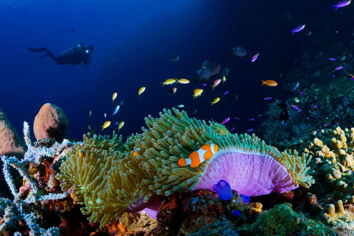 Deep-Sea Discovery Could Unlock Secrets of Life on Earth and Beyond ...