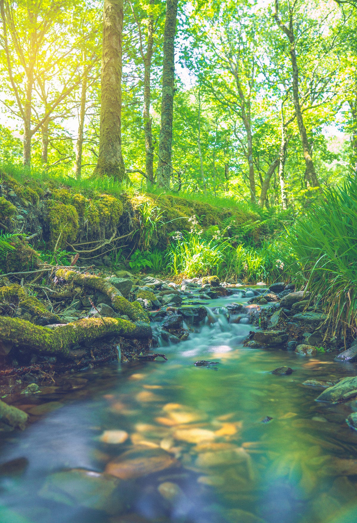 Bringing Intimacy Back. MEMORY VERSE OF THE WEEK: + Galatians… | by Lui | Medium