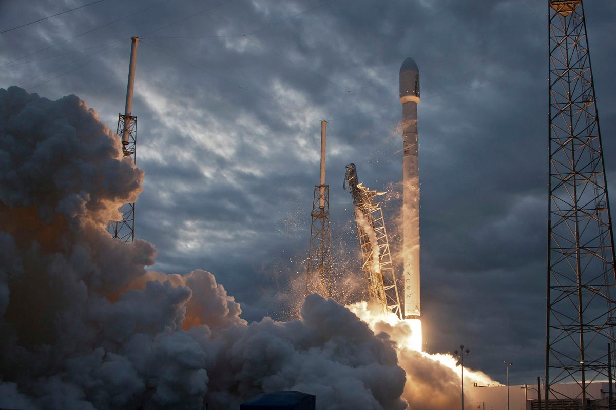 9 Animals That Reached Space Before Humans | by Lamba Meitei :) | Never ...