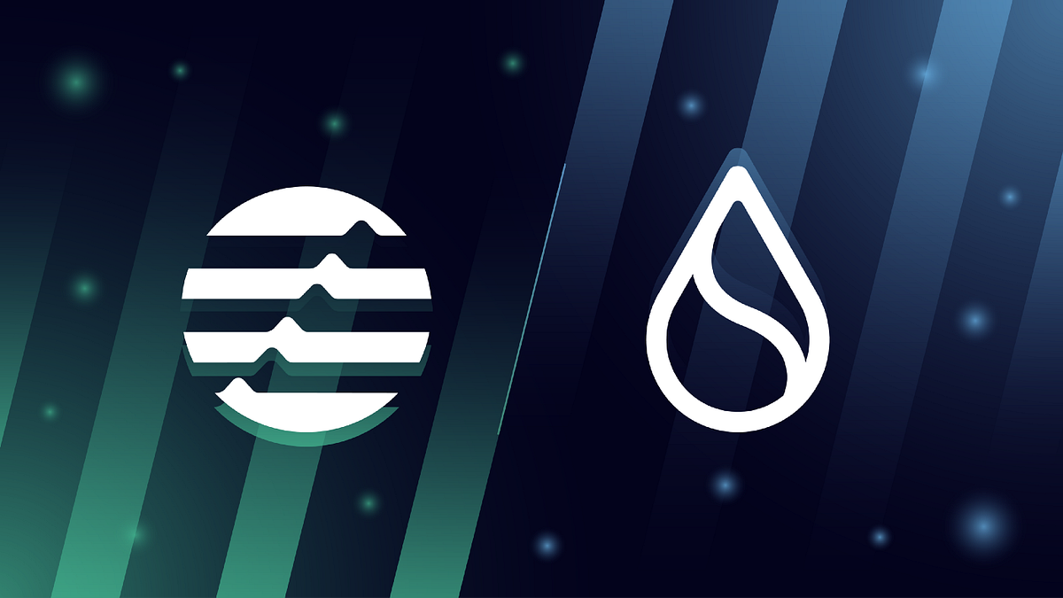 Aptos Vs. Sui: Facebook’s Blockchain Legacies | by John Walter Munene Njeru | Medium